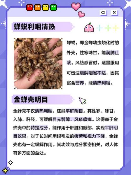 知了壳图片怎么鉴别_知了壳药用价值有哪些-第2张图片-山城妙识