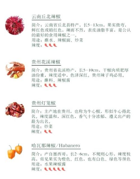 辣椒什么时候传入中国_原产地是哪里-第1张图片-山城妙识 辣椒什么时候传入中国_原产地是哪里-第1张图片-山城妙识