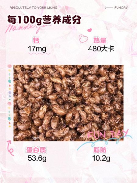 知了壳图片怎么鉴别_知了壳药用价值有哪些-第3张图片-山城妙识