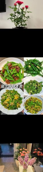 辣椒什么时候传入中国_原产地是哪里-第2张图片-山城妙识 辣椒什么时候传入中国_原产地是哪里-第2张图片-山城妙识