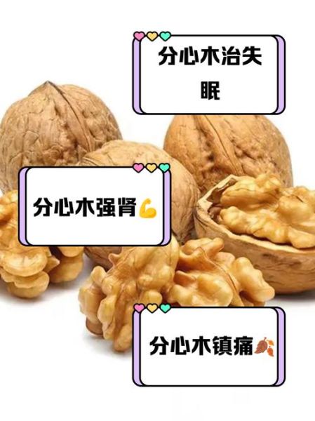 核桃皮的功效与作用_核桃皮泡水喝的正确方法-第1张图片-山城妙识