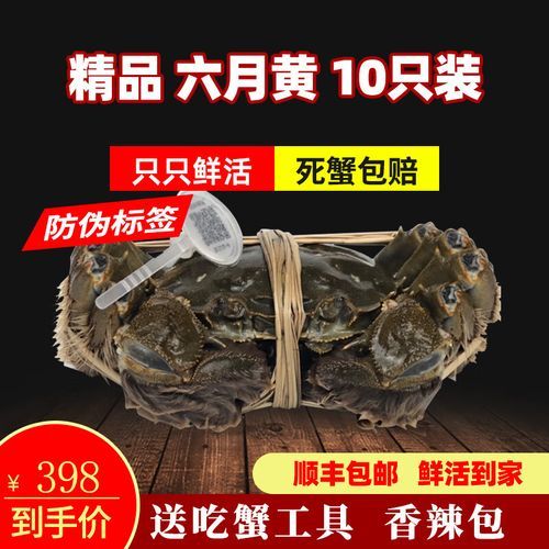 大闸蟹什么时候吃最好_大闸蟹公蟹母蟹哪个季节最肥-第3张图片-山城妙识 大闸蟹什么时候吃最好_大闸蟹公蟹母蟹哪个季节最肥-第3张图片-山城妙识