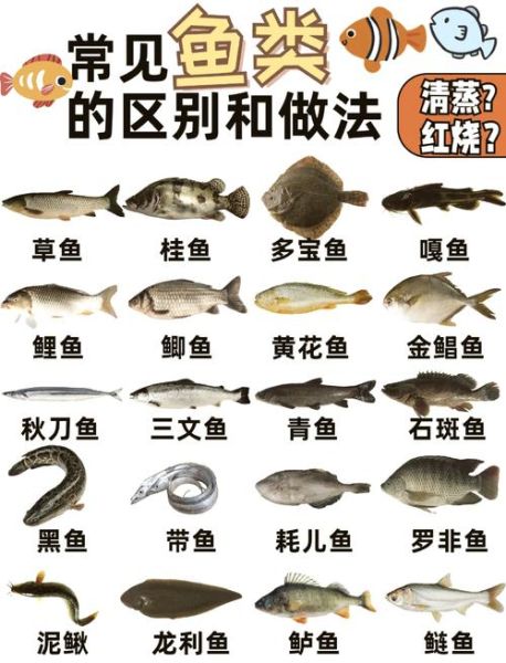 草鱼的营养价值_草鱼的功效与作用-第3张图片-山城妙识