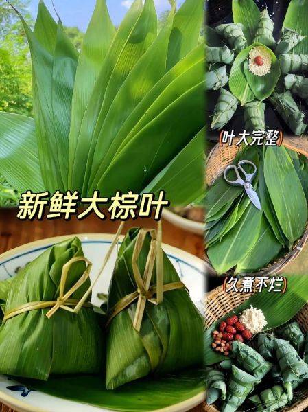 箬叶图片怎么拍_箬叶高清图哪里找-第3张图片-山城妙识