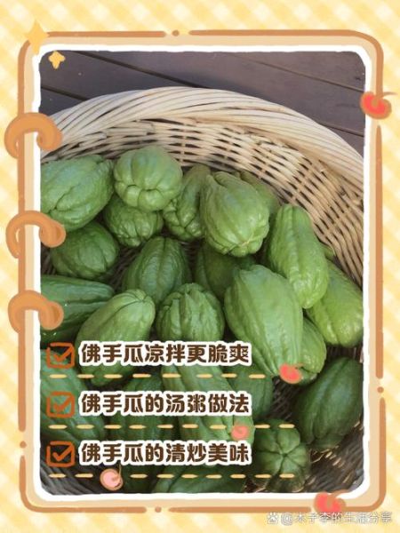 佛手瓜怎么炒好吃_佛手瓜的营养价值高吗-第2张图片-山城妙识 佛手瓜怎么炒好吃_佛手瓜的营养价值高吗-第2张图片-山城妙识