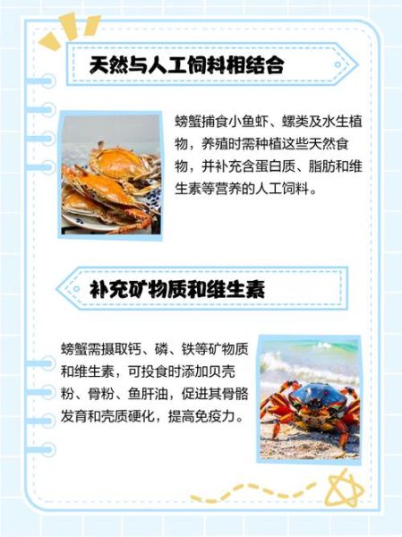 螃蟹喂养吃什么东西_螃蟹饲料选择-第3张图片-山城妙识