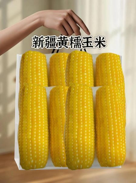 糯玉米哪个品种最好吃_排名第一的糯玉米品种-第2张图片-山城妙识