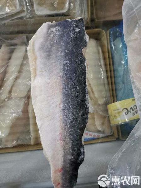 超市冷冻巴沙鱼能吃吗_冷冻巴沙鱼安全吗-第3张图片-山城妙识
