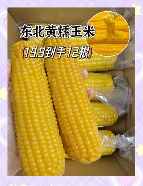 糯玉米哪个品种最好吃_排名第一的糯玉米品种-第3张图片-山城妙识