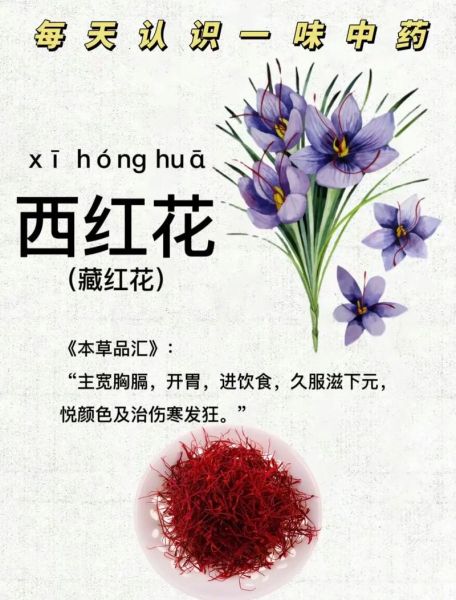 西红花有什么功效_西红花适合什么人吃-第1张图片-山城妙识
