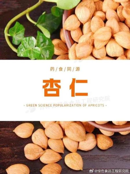 杏仁一天吃多少合适_吃杏仁会上火吗-第2张图片-山城妙识