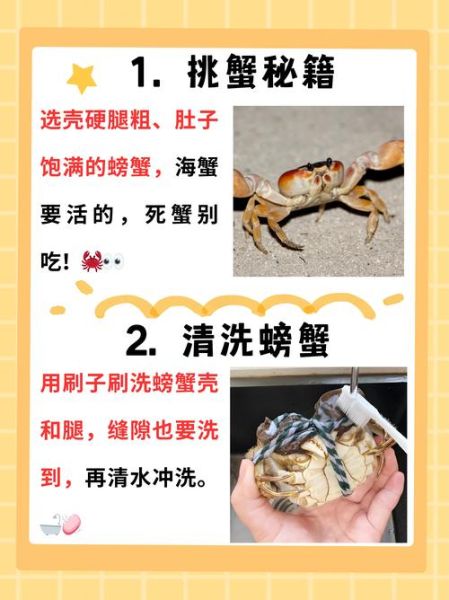 家常蒸螃蟹怎么蒸_蒸螃蟹用冷水还是热水-第2张图片-山城妙识 家常蒸螃蟹怎么蒸_蒸螃蟹用冷水还是热水-第2张图片-山城妙识