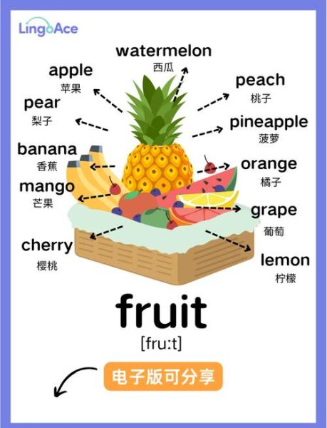 watermelon_英语怎么说-第2张图片-山城妙识