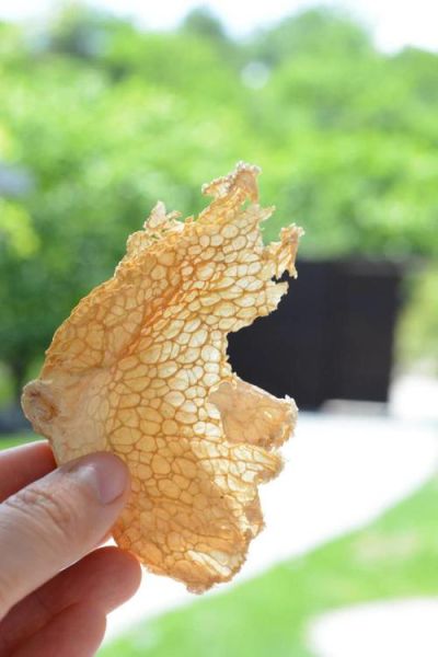 竹毛肚的功效与作用_竹毛肚怎么吃最好-第1张图片-山城妙识 竹毛肚的功效与作用_竹毛肚怎么吃最好-第1张图片-山城妙识