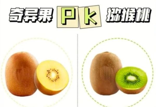 猕猴桃和奇异果的区别_哪个更好吃-第3张图片-山城妙识