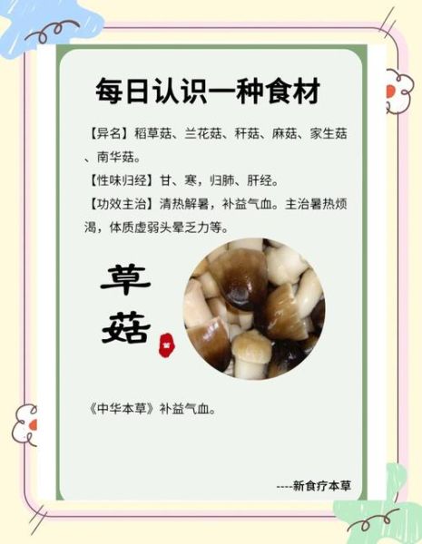 草菇不能和什么一起吃_草菇中毒症状有哪些-第2张图片-山城妙识