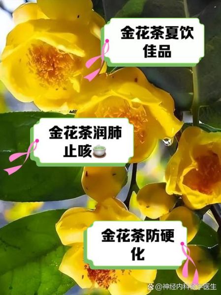 花卷茶有金花吗_金花与花卷茶区别-第2张图片-山城妙识 花卷茶有金花吗_金花与花卷茶区别-第2张图片-山城妙识
