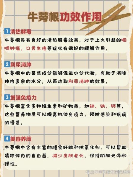 牛蒡是什么_牛蒡的功效与作用-第1张图片-山城妙识 牛蒡是什么_牛蒡的功效与作用-第1张图片-山城妙识