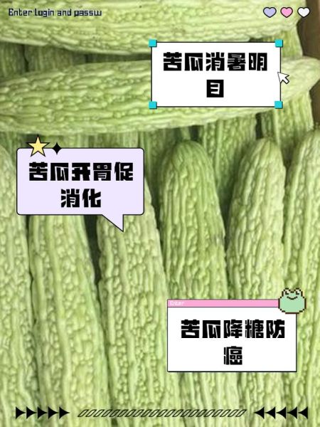 生吃苦瓜能减肥吗_生吃苦瓜的功效与禁忌-第2张图片-山城妙识