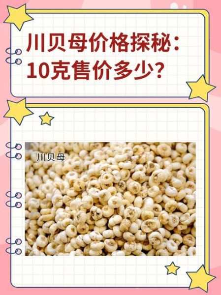 川贝母多少钱一克_川贝母价格为什么差别大-第1张图片-山城妙识