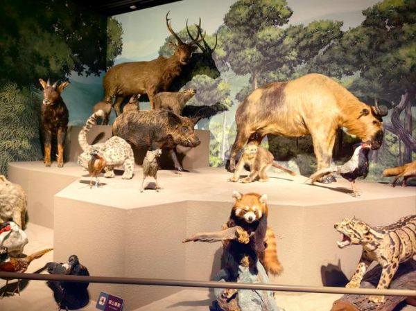 脊骨兽是什么_脊骨兽化石发现地点-第3张图片-山城妙识 脊骨兽是什么_脊骨兽化石发现地点-第3张图片-山城妙识