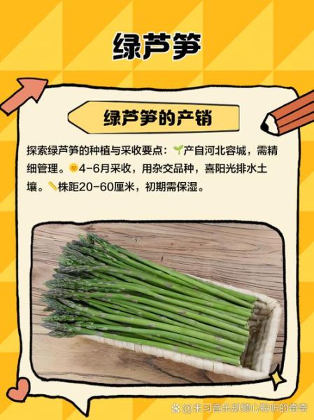 绿笋怎么挑选_绿笋保存方法-第2张图片-山城妙识 绿笋怎么挑选_绿笋保存方法-第2张图片-山城妙识