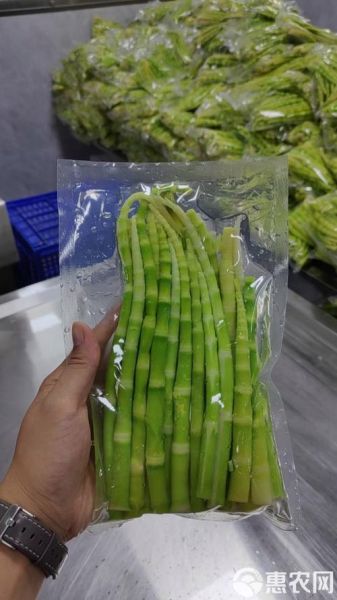 绿笋怎么挑选_绿笋保存方法-第1张图片-山城妙识 绿笋怎么挑选_绿笋保存方法-第1张图片-山城妙识