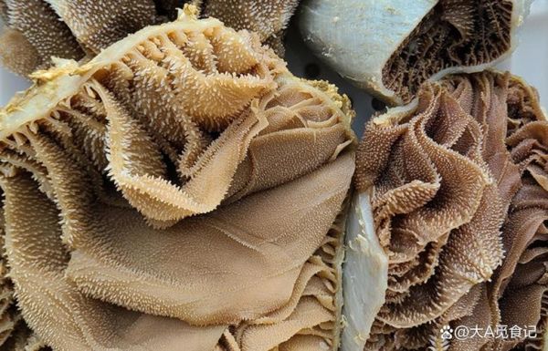 哪种牛肚最贵_为什么金钱肚价格最高-第2张图片-山城妙识