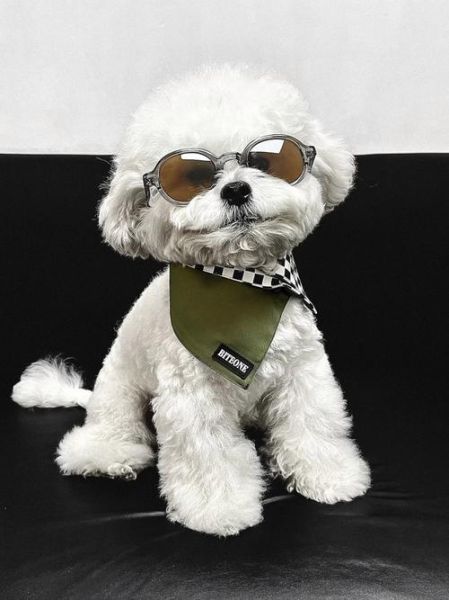 热狗为什么一直戴墨镜_热狗墨镜背后含义-第3张图片-山城妙识