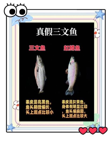 东北大马哈鱼是三文鱼吗_区别与真假辨别-第3张图片-山城妙识 东北大马哈鱼是三文鱼吗_区别与真假辨别-第3张图片-山城妙识