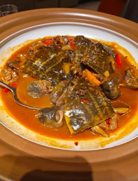 红烧甲鱼怎么做好吃_正宗川菜红烧甲鱼做法-第1张图片-山城妙识