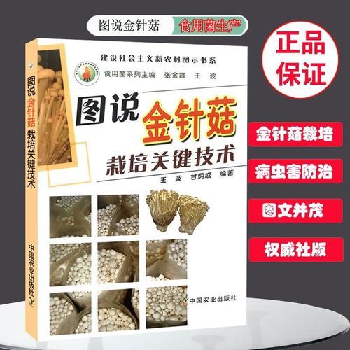 金针菇栽培技术_金针菇怎么种-第3张图片-山城妙识