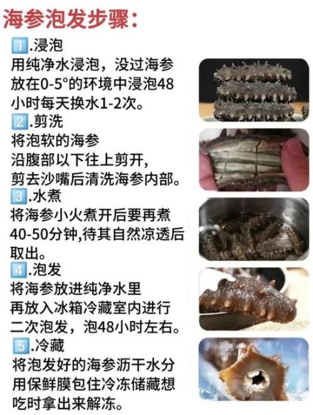 淡干海参品牌排行榜_如何挑选优质淡干海参-第3张图片-山城妙识 淡干海参品牌排行榜_如何挑选优质淡干海参-第3张图片-山城妙识