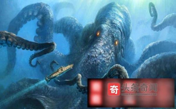 吸血乌贼吃人图片是真的吗_吸血乌贼攻击人类事件真相-第3张图片-山城妙识