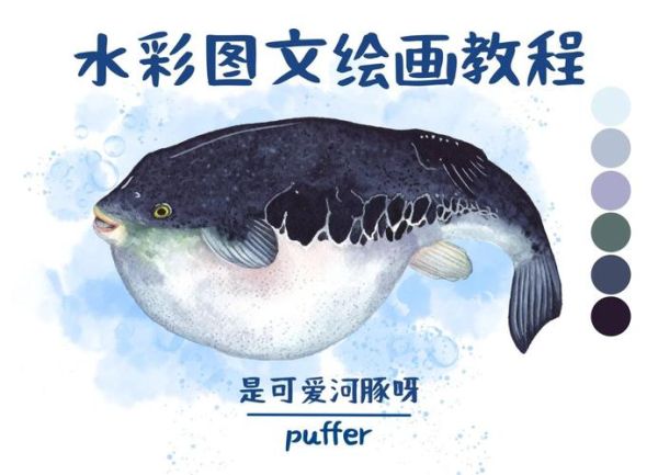 河豚卡通图片怎么画_河豚卡通图片素材哪里找-第1张图片-山城妙识 河豚卡通图片怎么画_河豚卡通图片素材哪里找-第1张图片-山城妙识