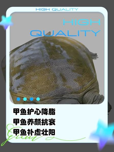 甲鱼的功效与作用及禁忌_什么人不能吃甲鱼-第1张图片-山城妙识