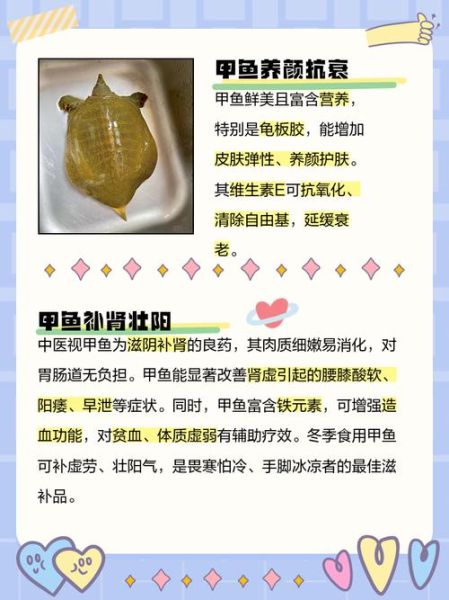 甲鱼的功效与作用及禁忌_什么人不能吃甲鱼-第2张图片-山城妙识