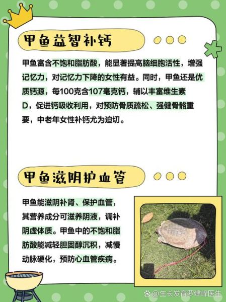 甲鱼的功效与作用及禁忌_什么人不能吃甲鱼-第3张图片-山城妙识