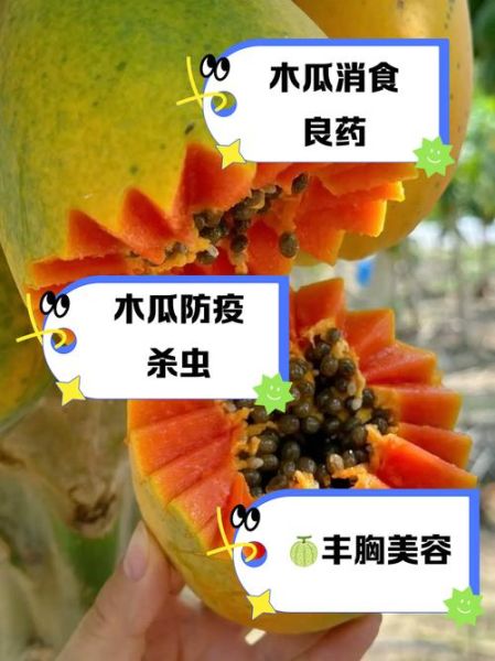 木瓜什么人不能吃_木瓜禁忌人群有哪些-第2张图片-山城妙识