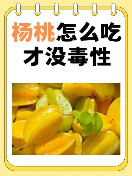 五星杨桃怎么吃_五星杨桃怎么吃才好吃-第1张图片-山城妙识