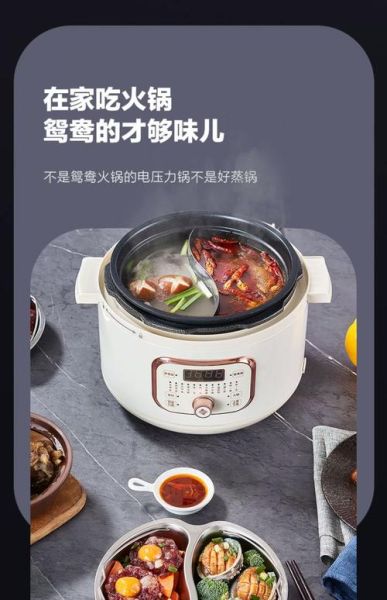 电压力锅哪个牌子好_电压力锅品牌排行榜前十名-第2张图片-山城妙识