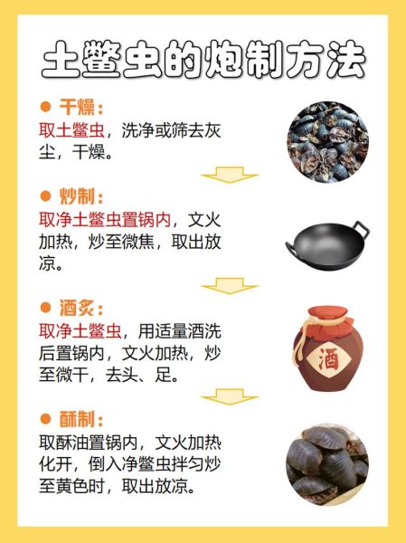 土鳖虫的功效与作用_土鳖虫怎么吃效果最好-第1张图片-山城妙识