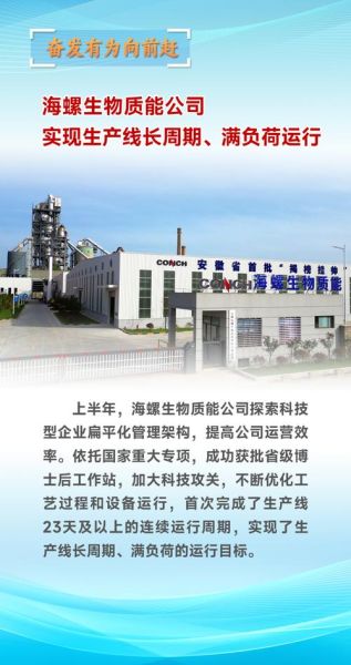 海螺集团是国企还是央企_隶属关系详解-第2张图片-山城妙识 海螺集团是国企还是央企_隶属关系详解-第2张图片-山城妙识