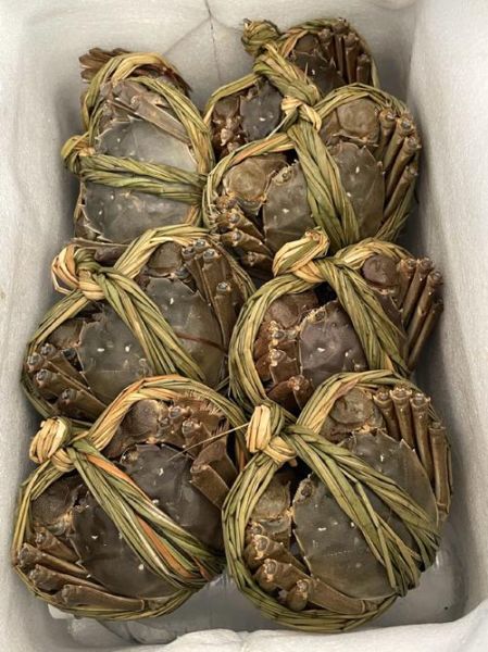 太湖蟹多少钱一斤_太湖蟹价格走势-第1张图片-山城妙识 太湖蟹多少钱一斤_太湖蟹价格走势-第1张图片-山城妙识