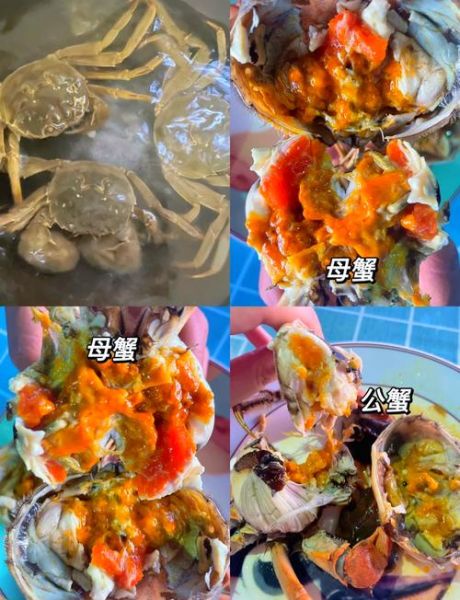 太湖蟹多少钱一斤_太湖蟹价格走势-第3张图片-山城妙识 太湖蟹多少钱一斤_太湖蟹价格走势-第3张图片-山城妙识