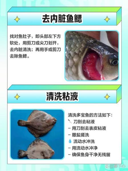 冷冻多宝鱼怎么杀_多宝鱼宰杀视频教程-第1张图片-山城妙识 冷冻多宝鱼怎么杀_多宝鱼宰杀视频教程-第1张图片-山城妙识