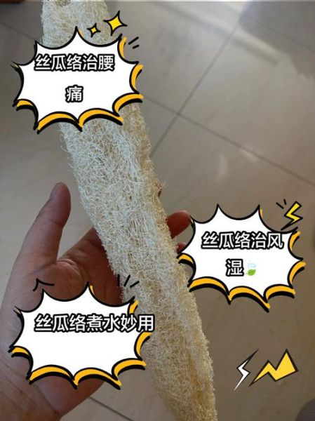 咽炎怎么根治_老丝瓜真的有用吗-第2张图片-山城妙识