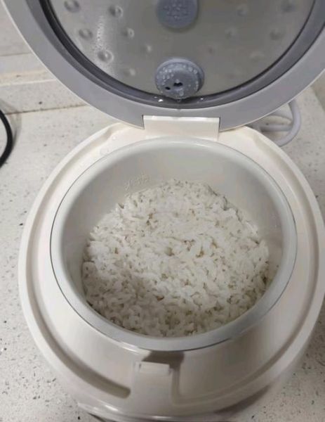 小型电饭锅20元能买吗_20元电饭锅好用吗-第1张图片-山城妙识