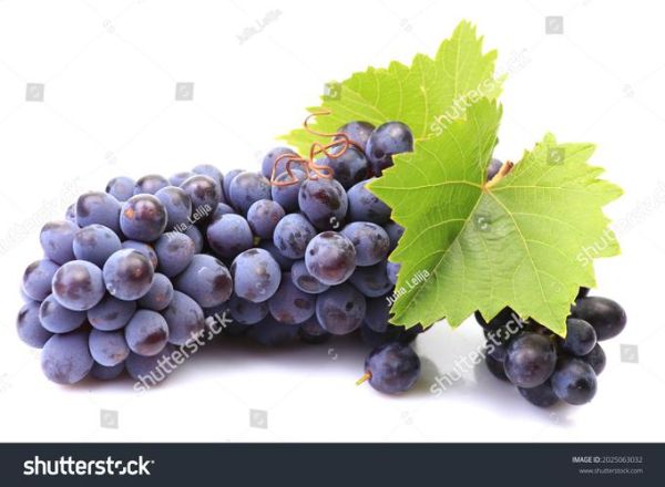 grapes复数怎么用_why grapes不是grape-第1张图片-山城妙识 grapes复数怎么用_why grapes不是grape-第1张图片-山城妙识