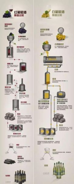 葡萄酒怎么发酵_葡萄酒发酵全过程-第1张图片-山城妙识 葡萄酒怎么发酵_葡萄酒发酵全过程-第1张图片-山城妙识